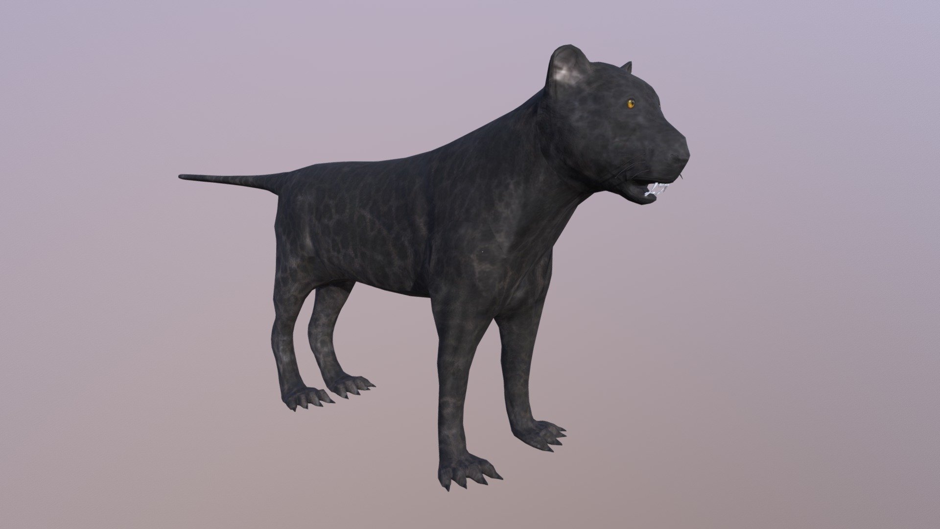 Panther - Buy Royalty Free 3D model by 3dlowpoly [b9adab3] - Sketchfab ...