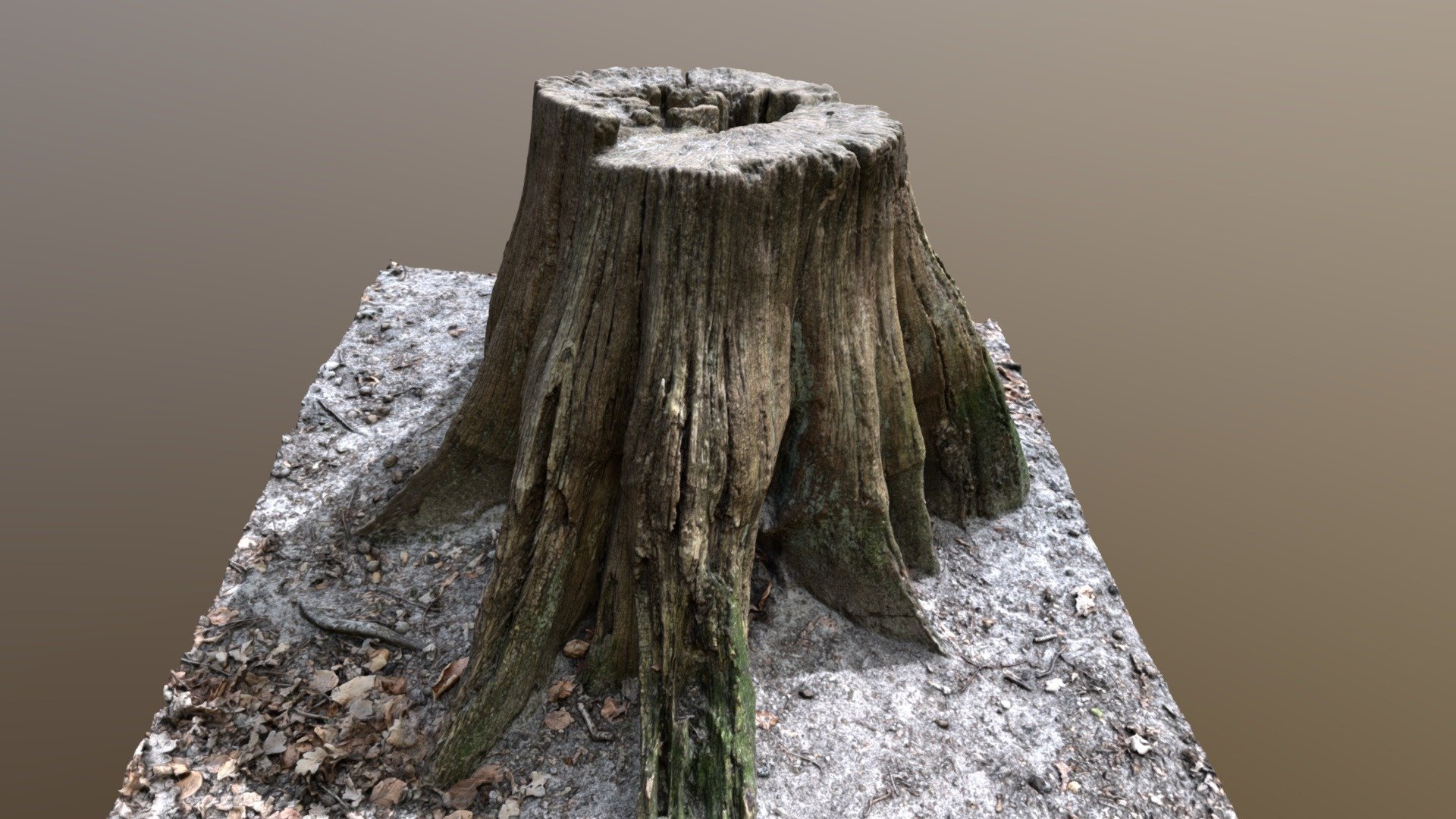 Tree stump - Download Free 3D model by CrowsEpicScans [b9b2ca2] - Sketchfab