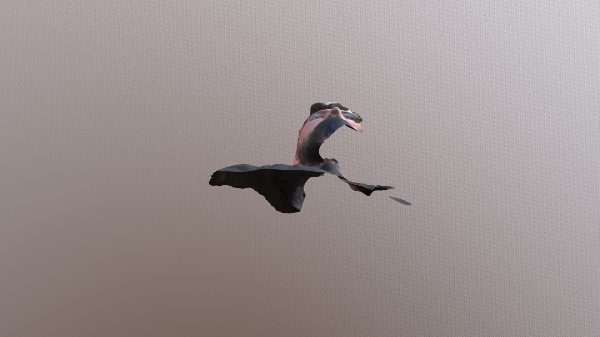 Brock Model - 3D model by emilyt333 [b9b3d89] - Sketchfab