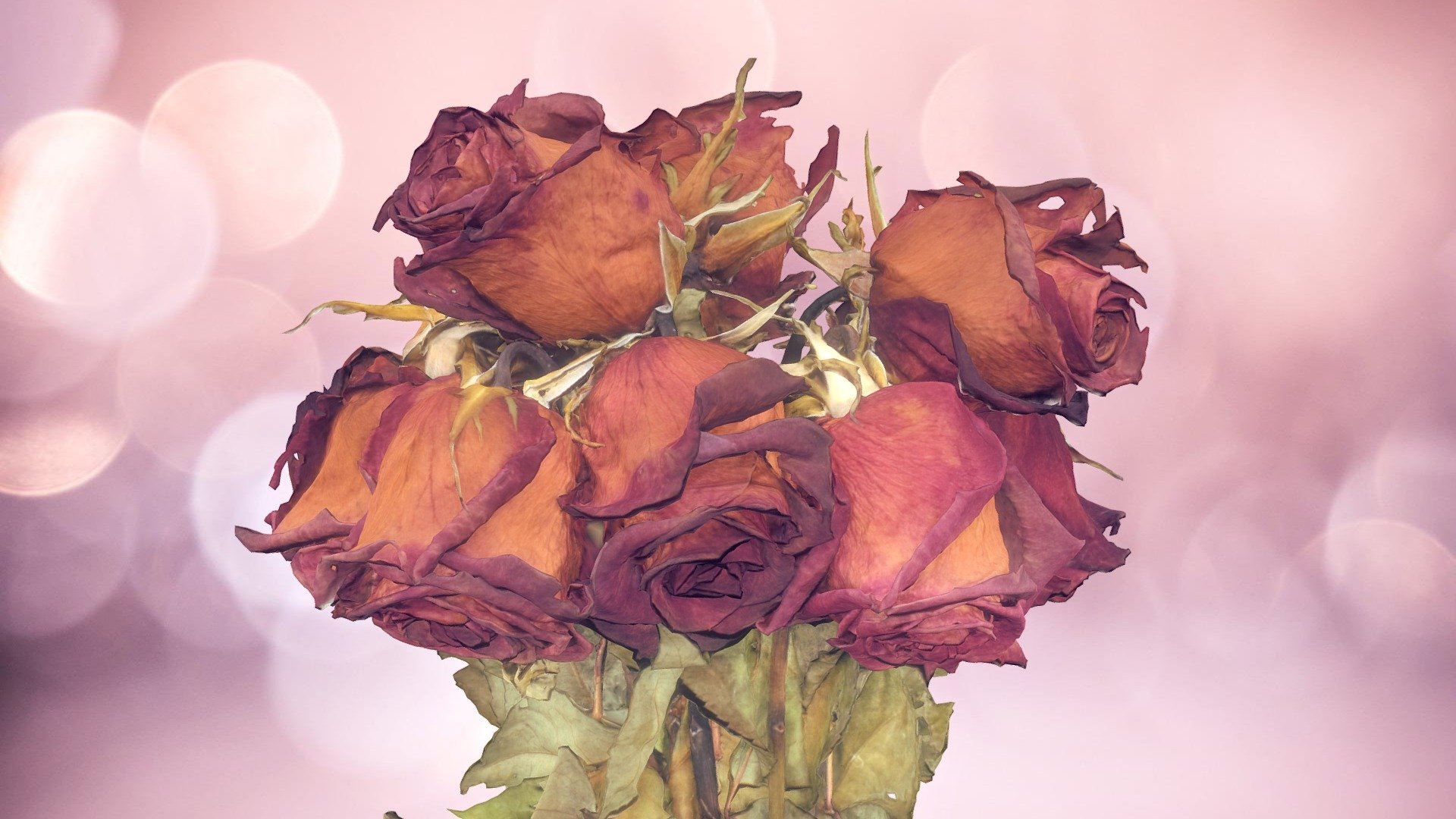 Wilted Roses (Memories) - Buy Royalty Free 3D model by AntiquesScanning ...