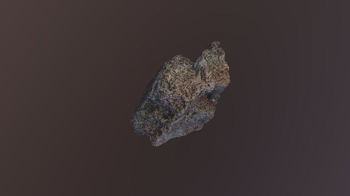 Vesicles 3D models - Sketchfab