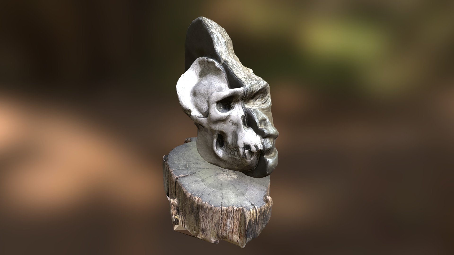 Gorilla Skull Half - 3D model by atomicwest [b9ddd11] - Sketchfab