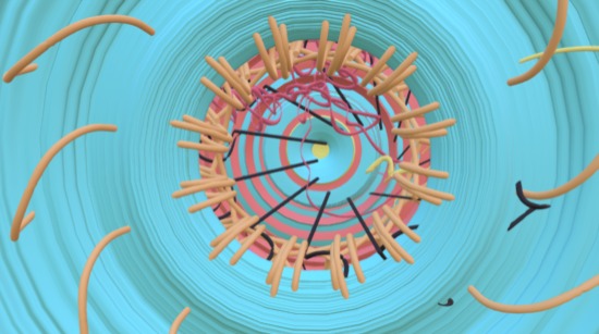 Vortex by Luli - 3D model by Gravity Sketch (@gravitysketch) [b9e7dfa ...
