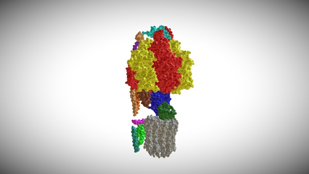 ATP Synthase Structure - 3D model by LeHongNam [b9ec746] - Sketchfab