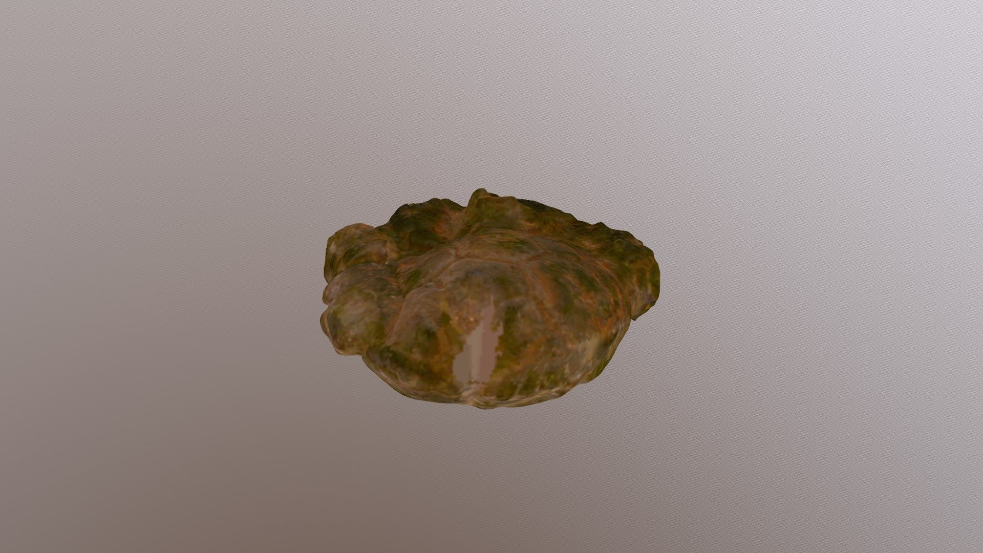 Fossil Sample 2 - 3D model by Queen's University Geodesy and Geophysics ...