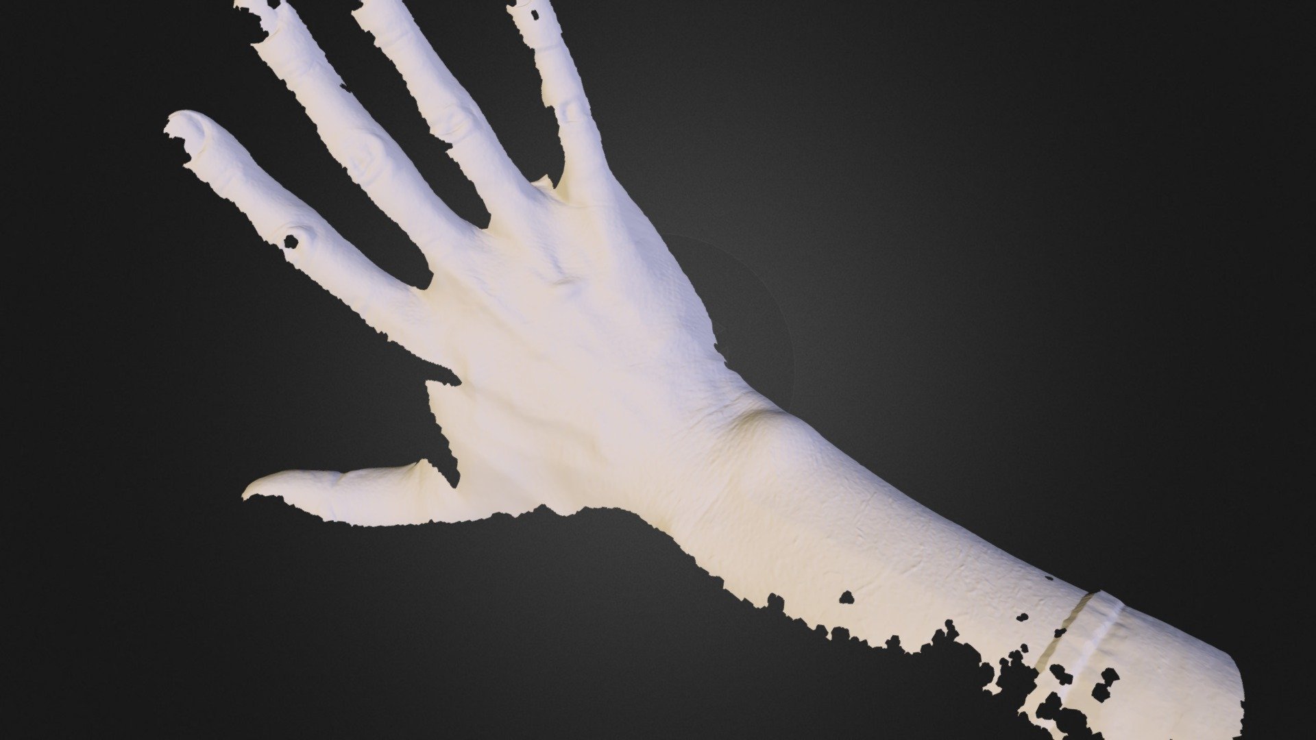 3D scanned hand - 3D model by Risto (@RistoMandre) [bCpplud] - Sketchfab
