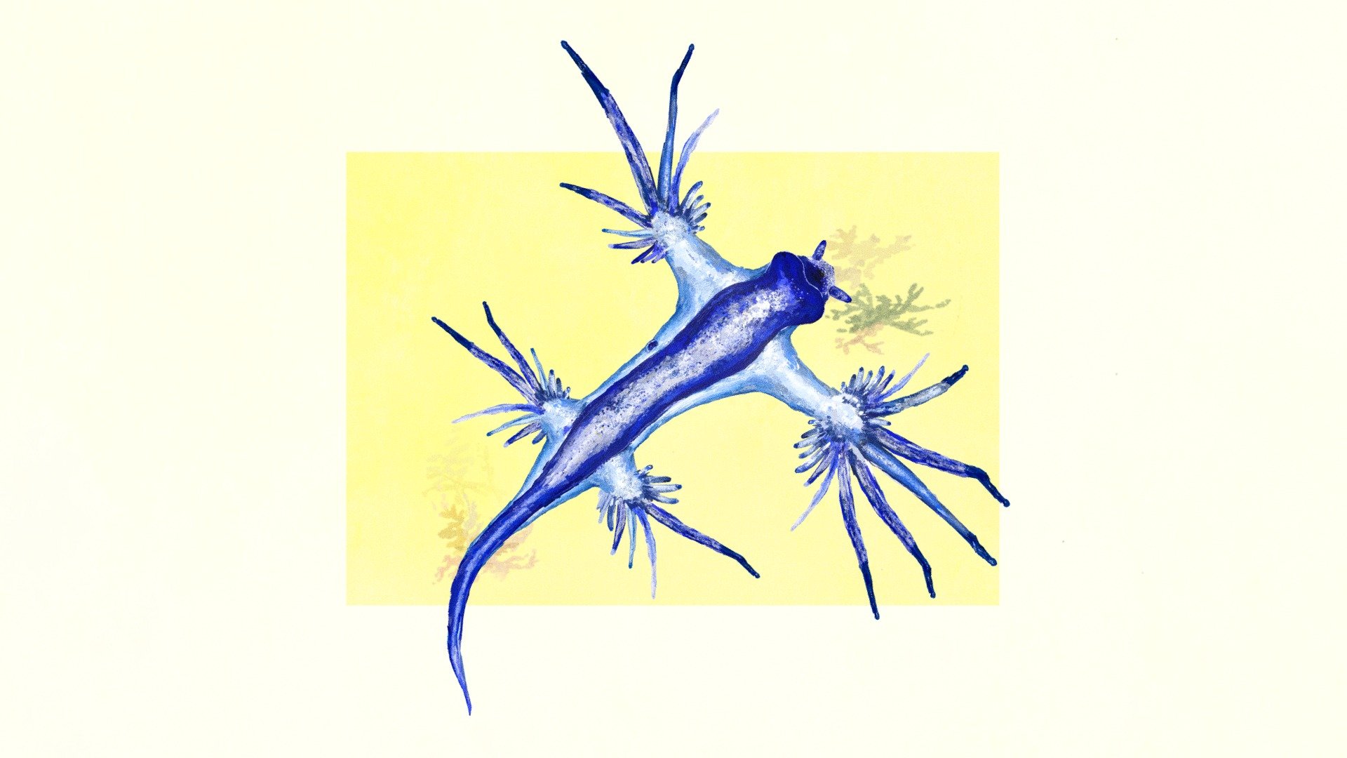 Blue Sea Slug - 3D model by Ram (@Rambonam) [ba059ca] - Sketchfab