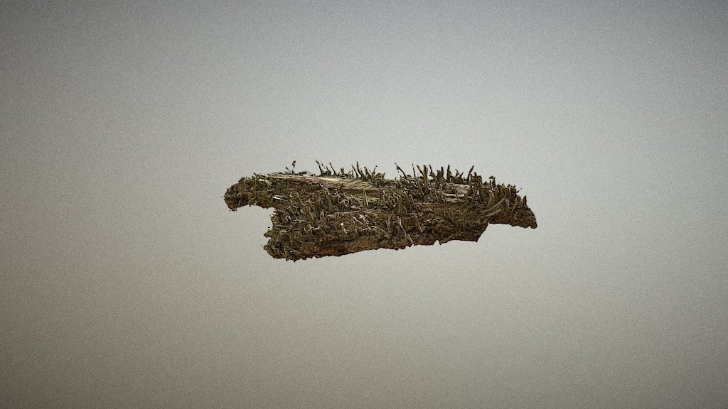Piece of wood - 3D model by Mantas Talmantas (@mantasT) [ba08f1a ...