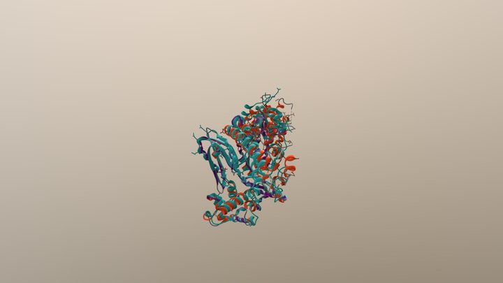 Polymerases 3D models - Sketchfab