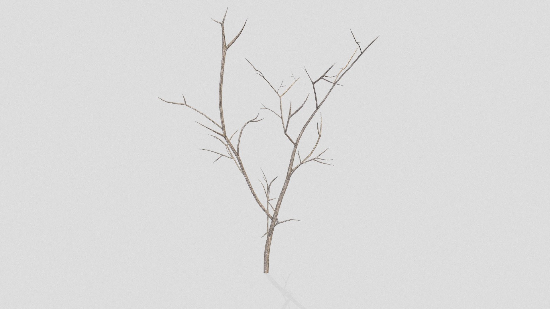 Low Poly Bare Tree V1 - Buy Royalty Free 3D model by 3dia [ba15cd4 ...