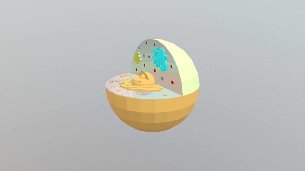 Cell-model-for-biology - 3D model by skywaybtb31 [ba16165] - Sketchfab