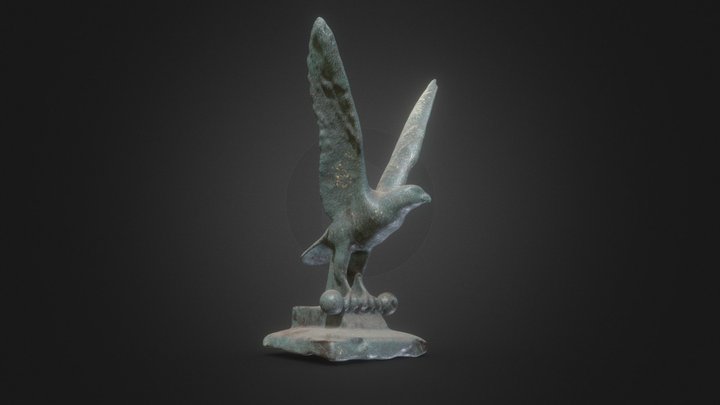 Falcon 3D models - Sketchfab