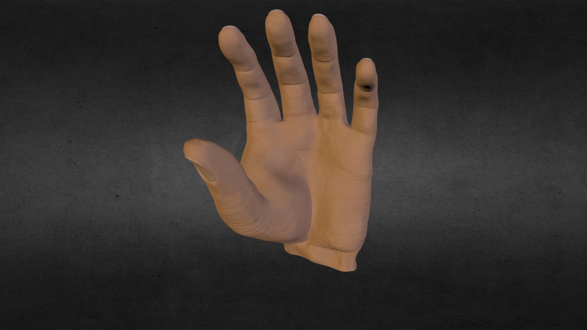 Hand - 3D model by Beard (@kallandahn) [ba1c5df] - Sketchfab