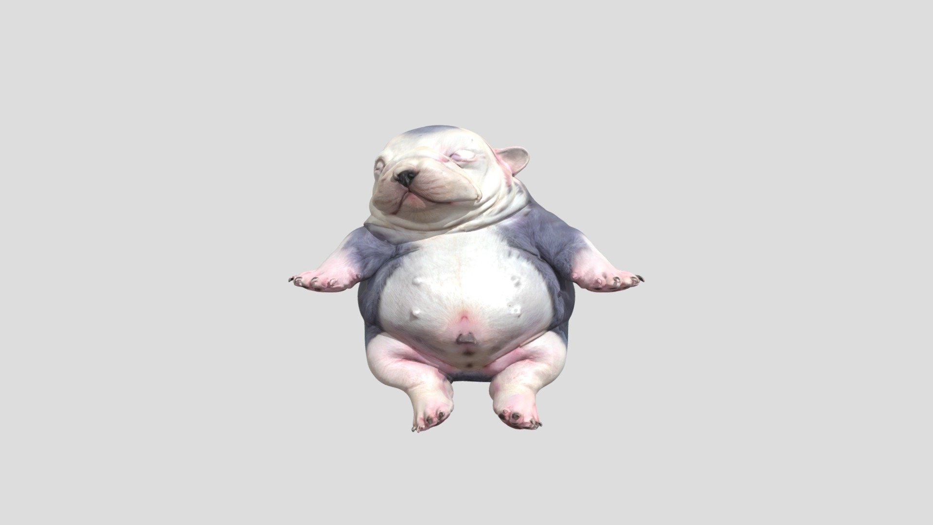 Pibble - Download Free 3D model by serendeds [ba1d764] - Sketchfab