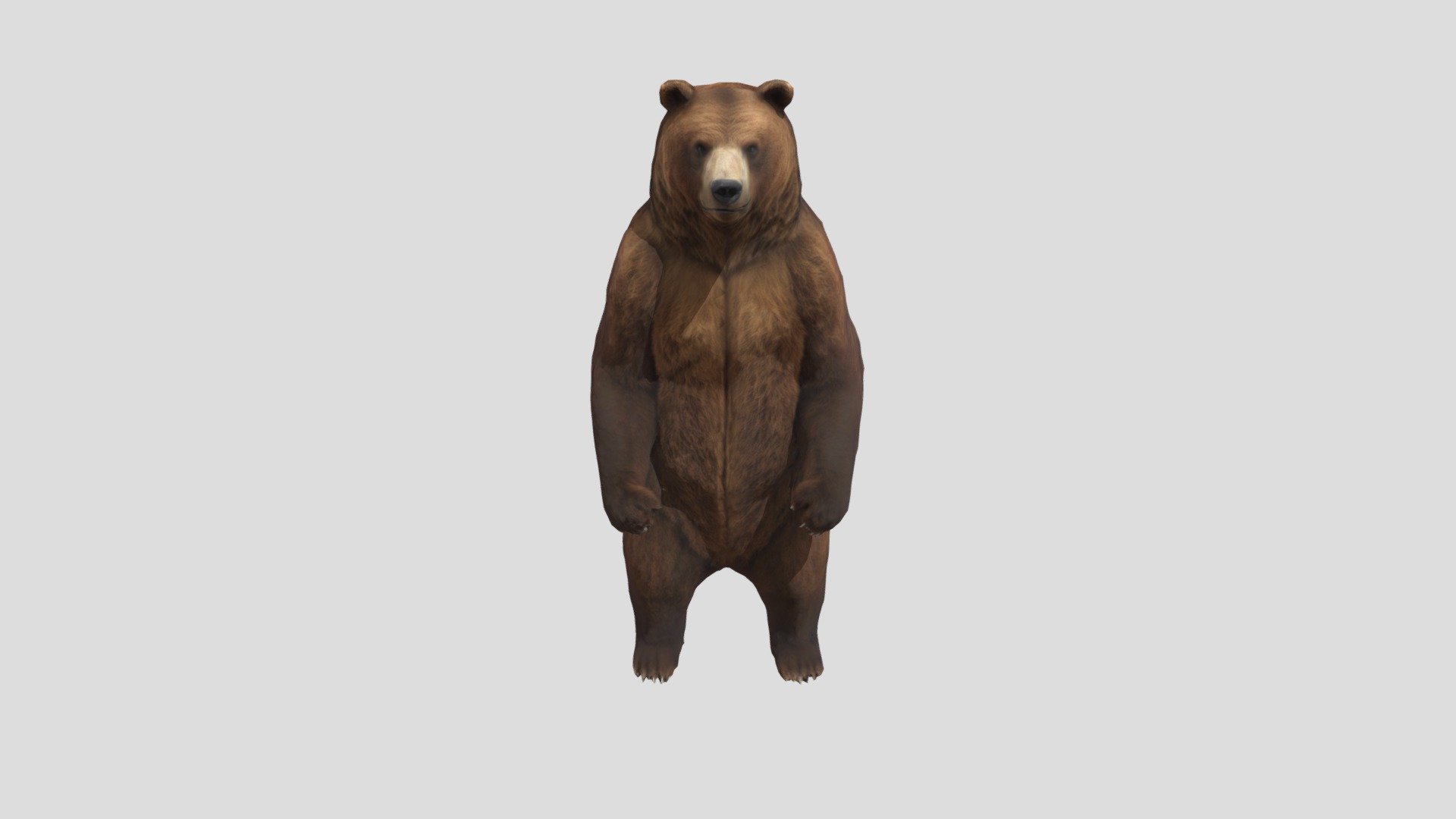 Bear Standing - Download Free 3D model by parker25 [ba22405] - Sketchfab