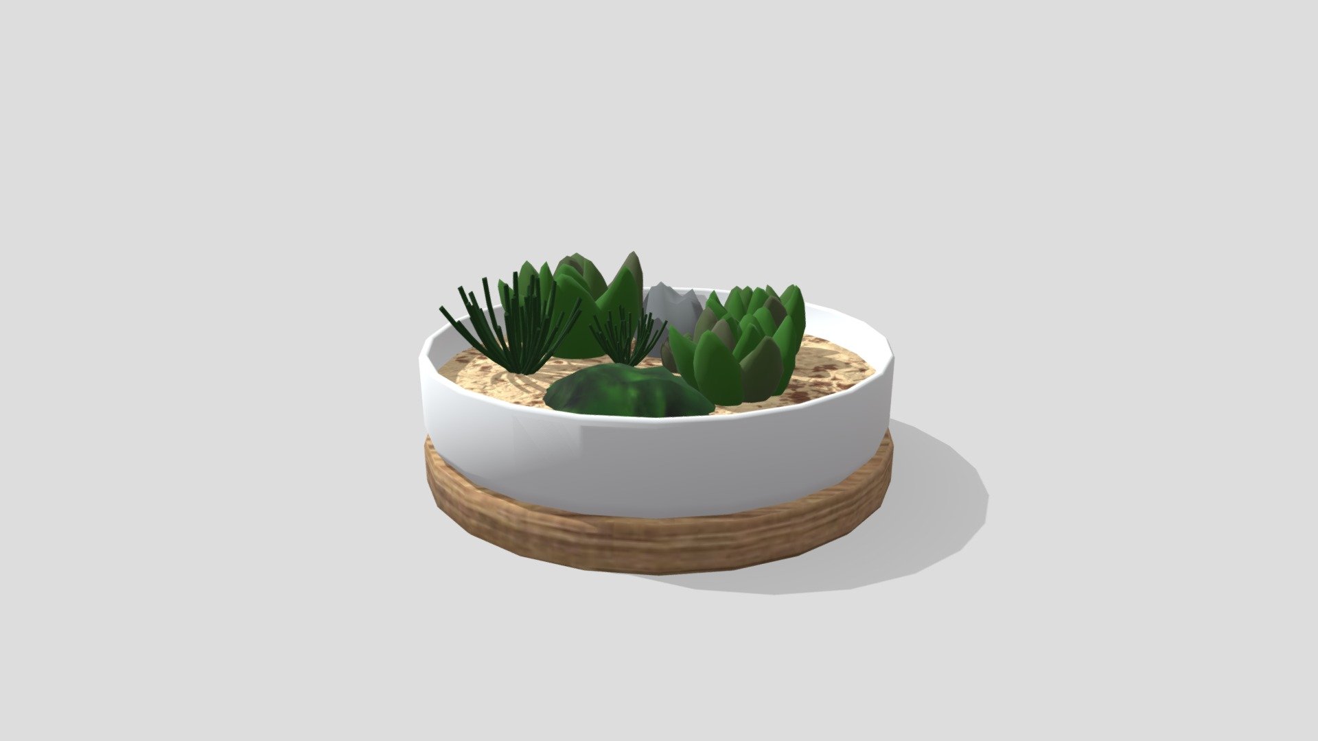 Succulent - 3D model by Chrissie.Lock [ba23381] - Sketchfab