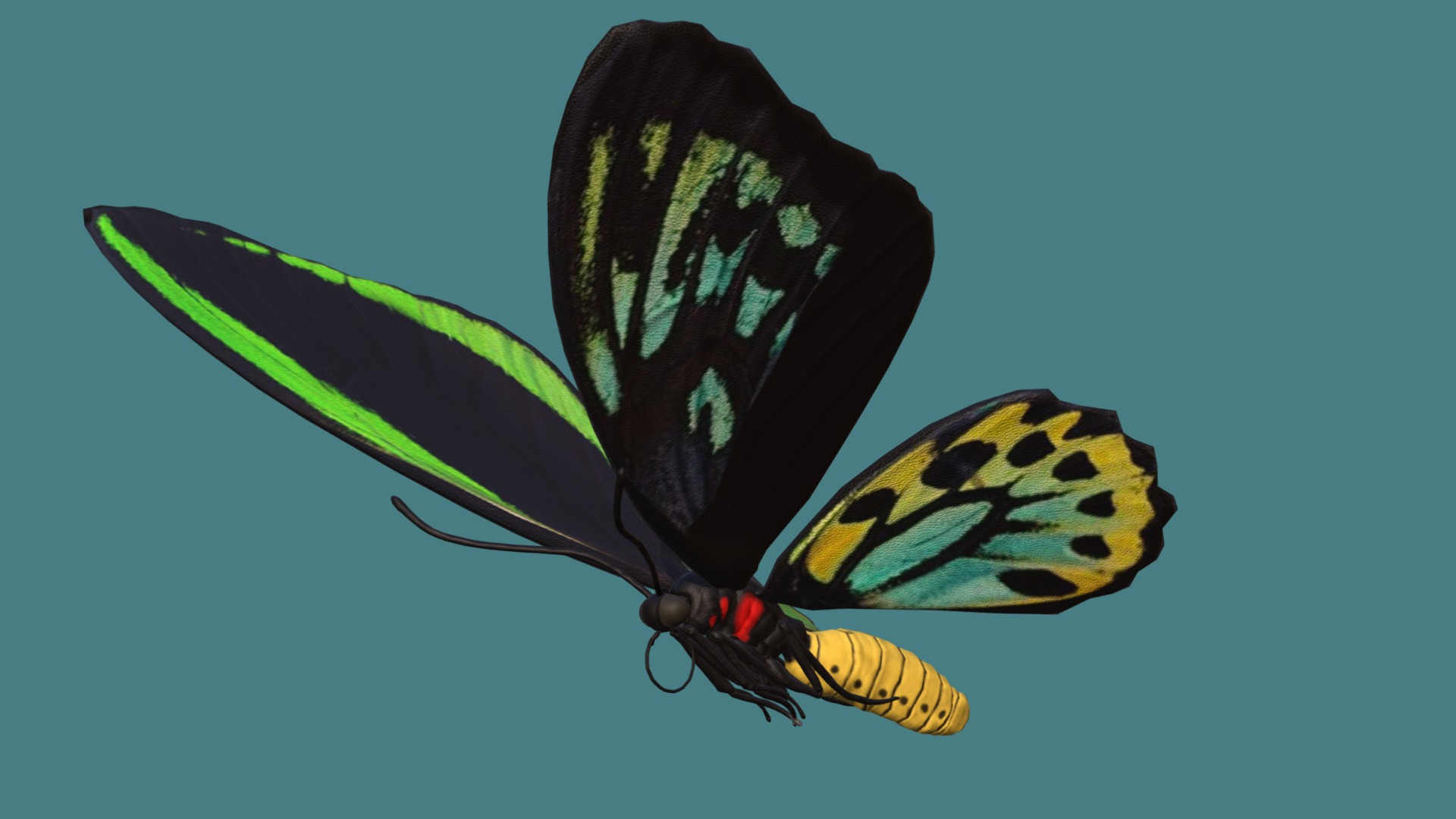 Butterfly - 3D model by smarte [ba29f10] - Sketchfab
