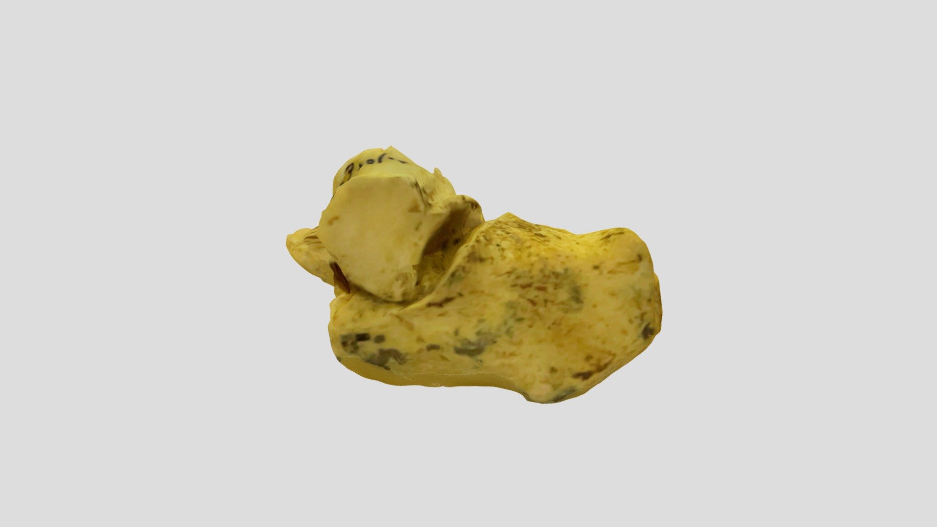Talus and calcaneum - 3D model by prajjawalit [ba2a228] - Sketchfab