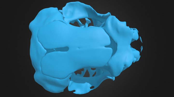 Cartilage 3D models - Sketchfab