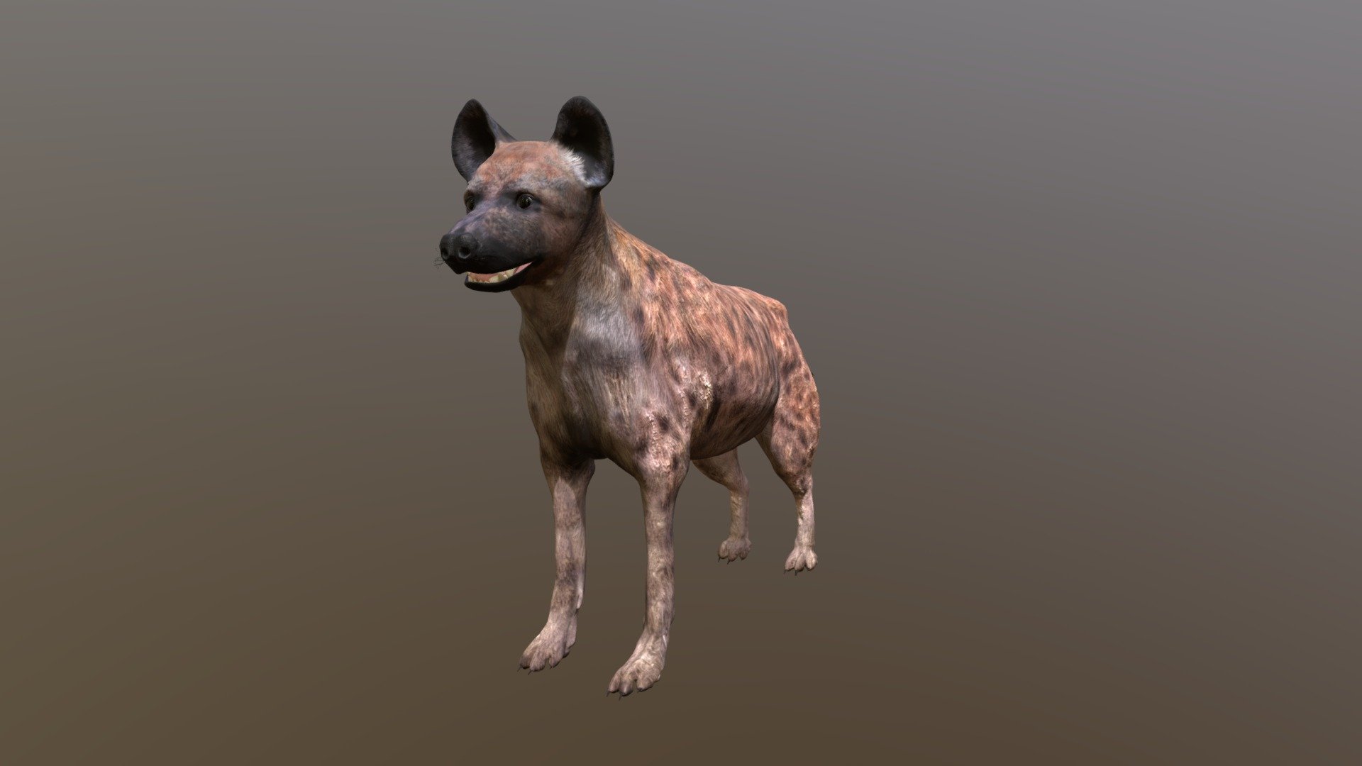 Hyena - Download Free 3D model by kenchoo [ba317c2] - Sketchfab