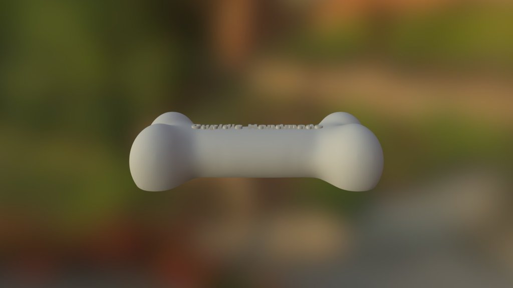 BONE1 Cut+T3 - 3D model by saltyegg [ba3732b] - Sketchfab