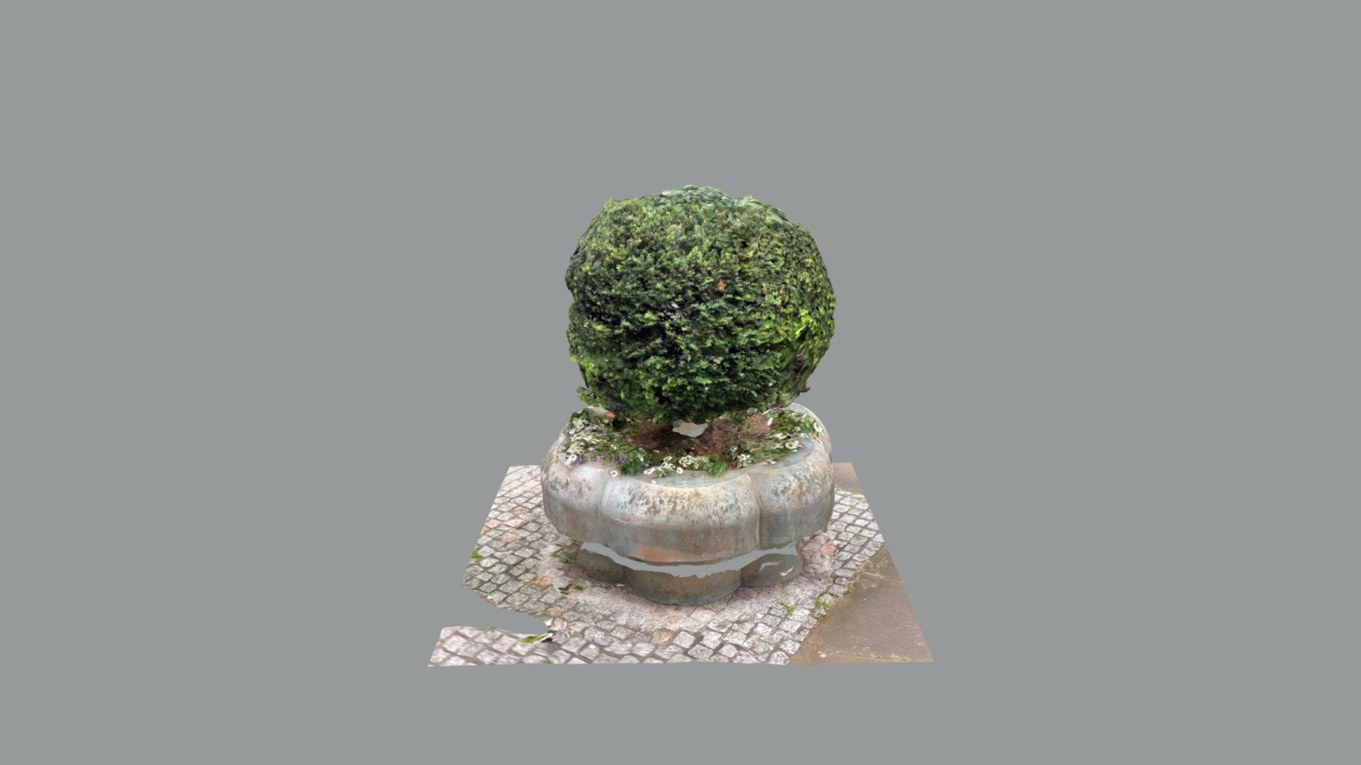 Bush - Download Free 3D model by RyanAnderson97 [ba3baab] - Sketchfab