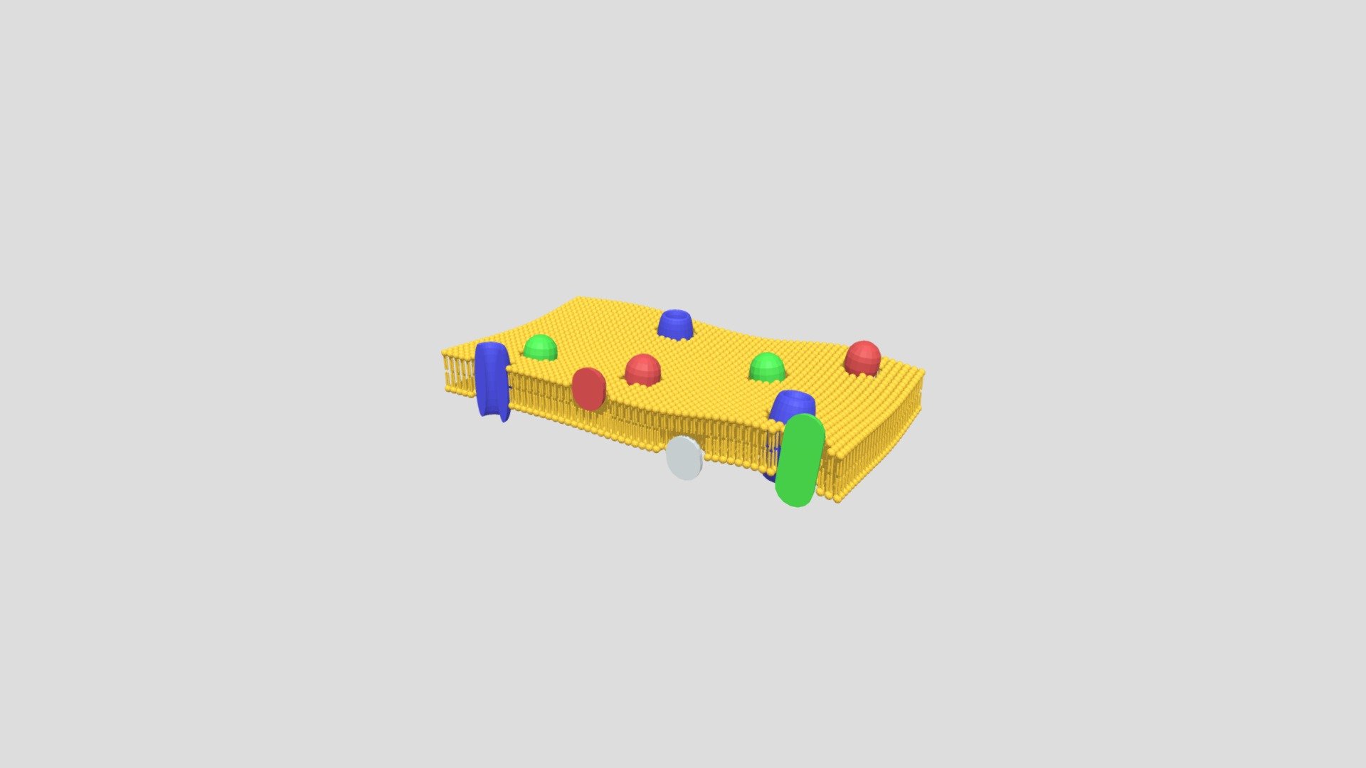 Plasma Membrane 3D Model - Download Free 3D model by GROUP 5 (@group_3 ...