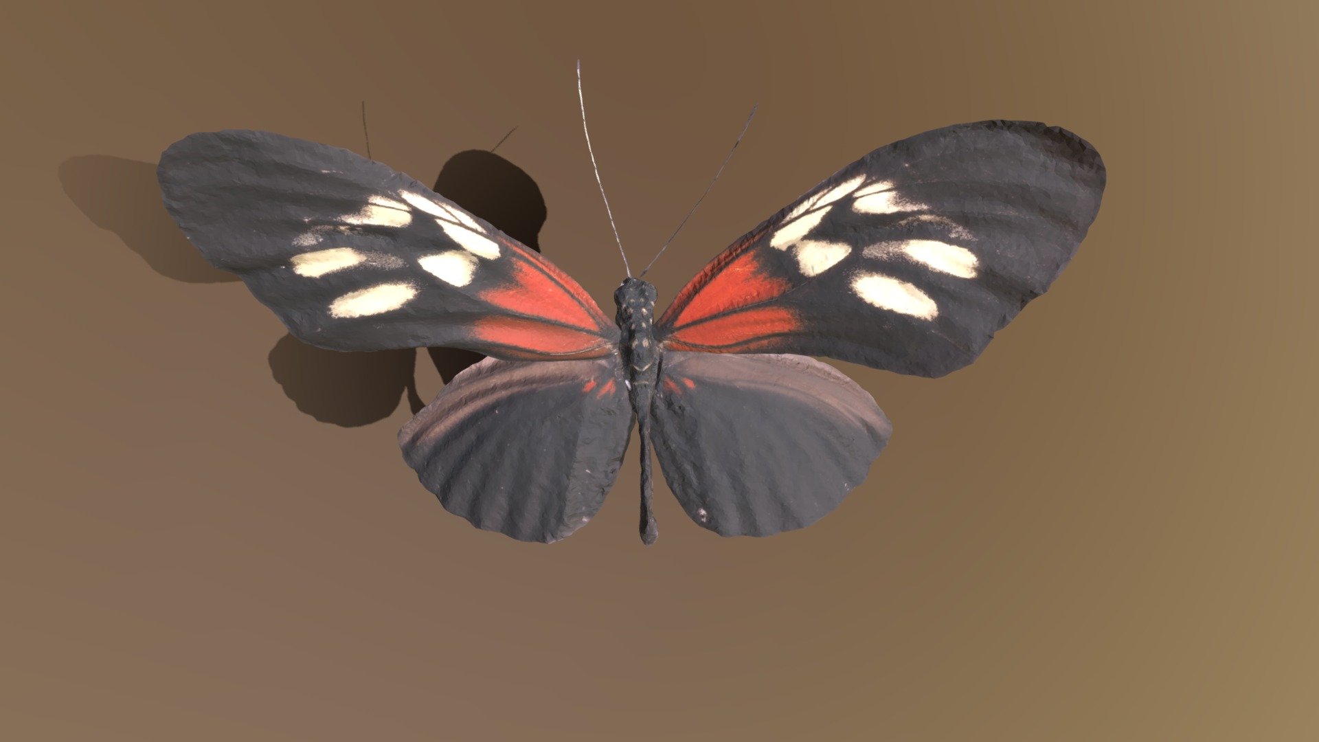 Burney's longwing (Heliconius burneyi) ブルネイドクチョウ - Download Free 3D model by Takashi Ijiri ...