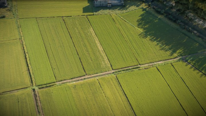 Farmland 3D models - Sketchfab