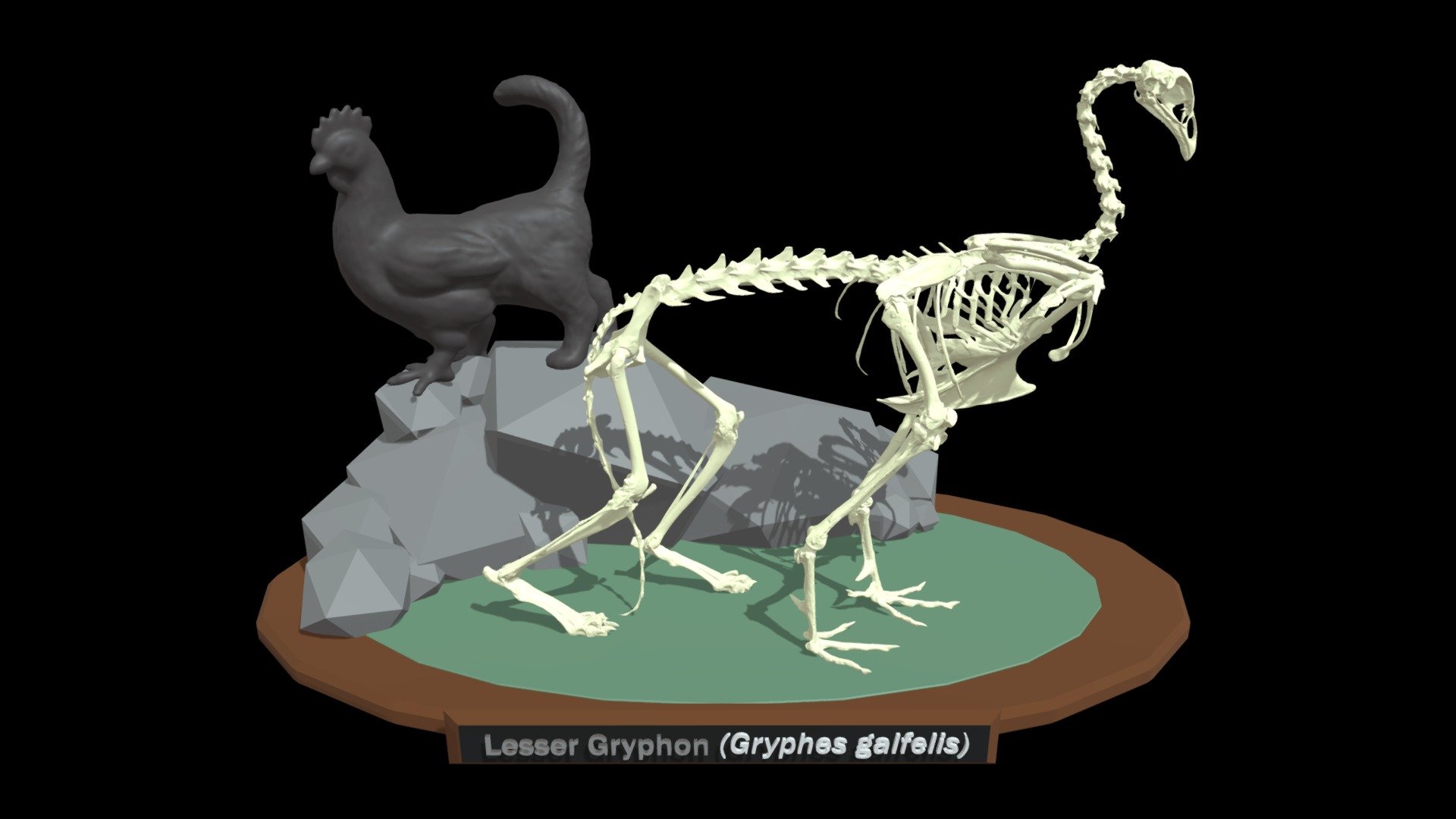 Lesser Gryphon, by Elise Samuelson - 3D model by Digital Dinosaurs ...