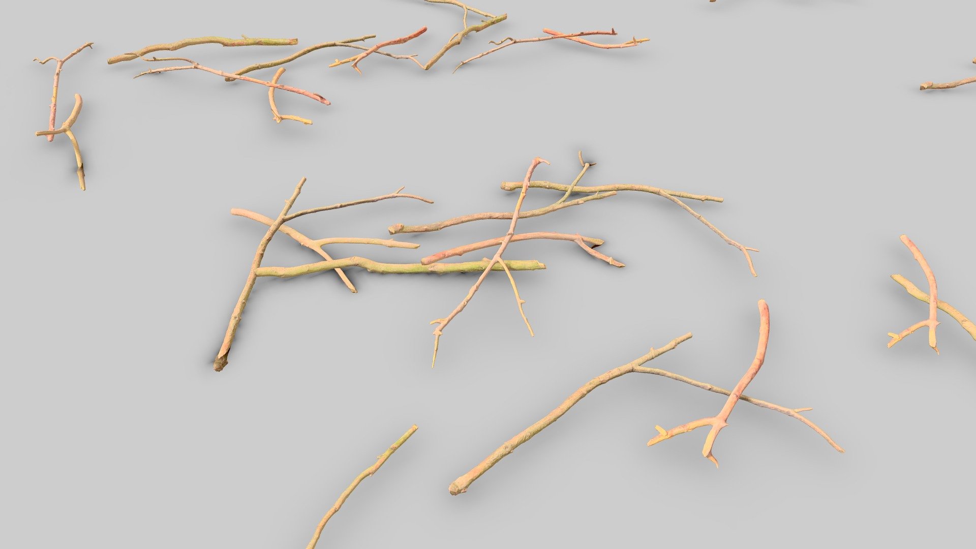 Stick Twig Dead Broken Scan Pack - Buy Royalty Free 3D model by Per's ...