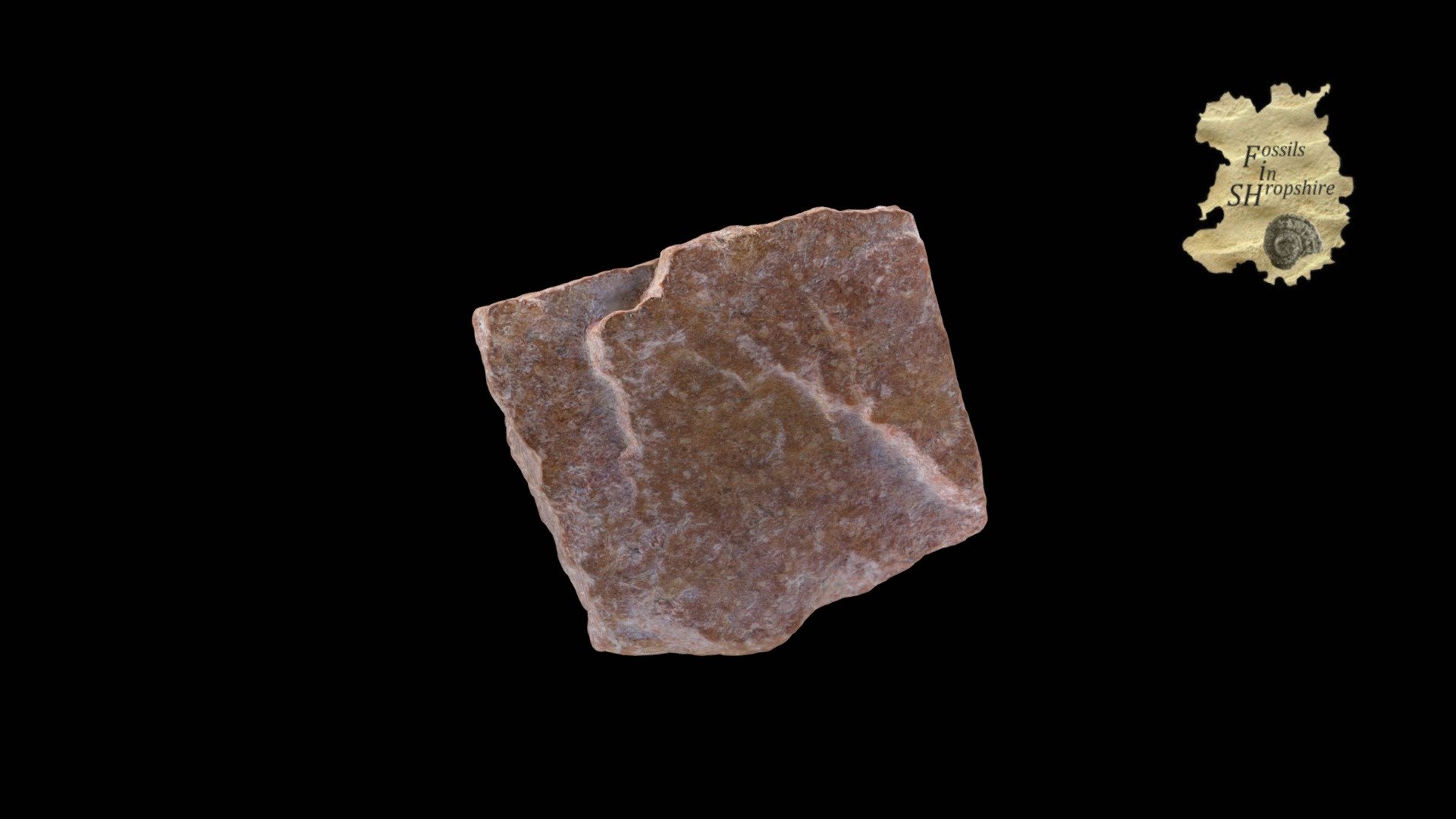 Granophyre - Download Free 3D model by Fossils in Shropshire (@Fossils ...