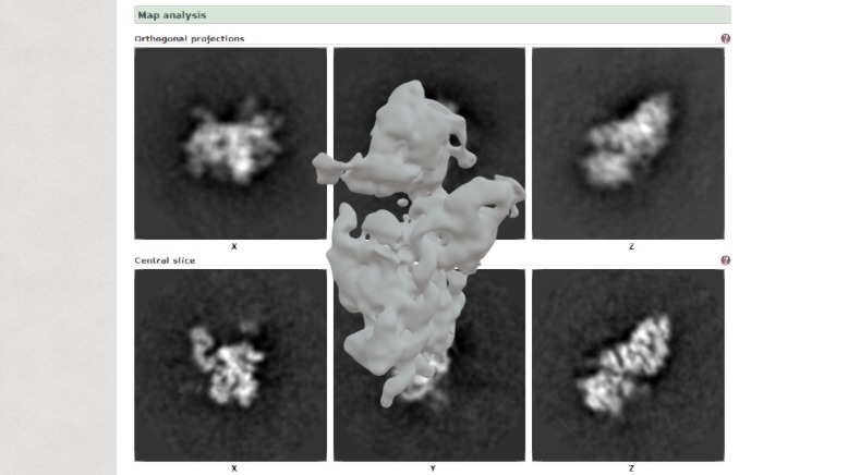 EMDB › EMD-3452 - 3D model by Interactive 3D Data (@proteinsimulation ...