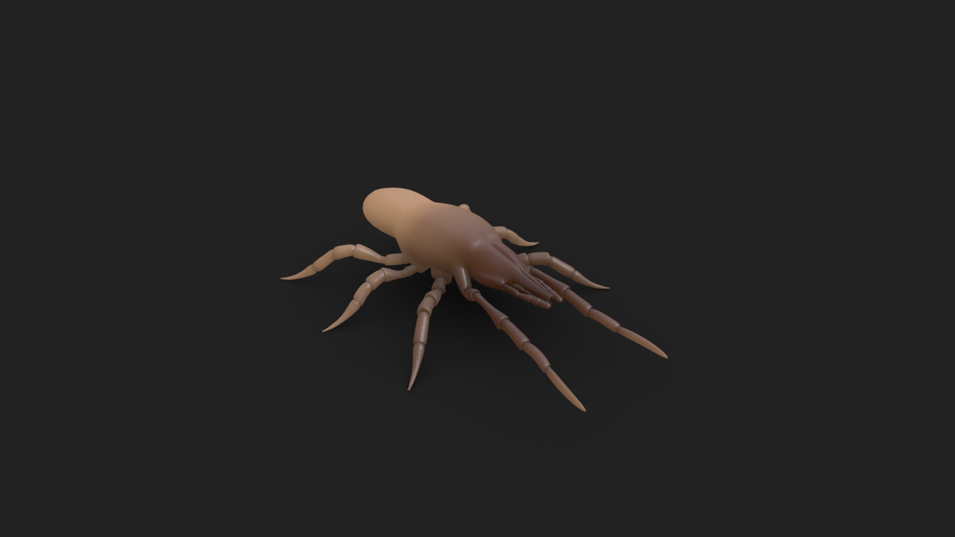 Rhodacarus roseus - Download Free 3D model by .hapto GmbH (@.hapto ...