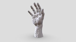 Roblox Hand - Download Free 3D model by leongame07 [89380d3] - Sketchfab