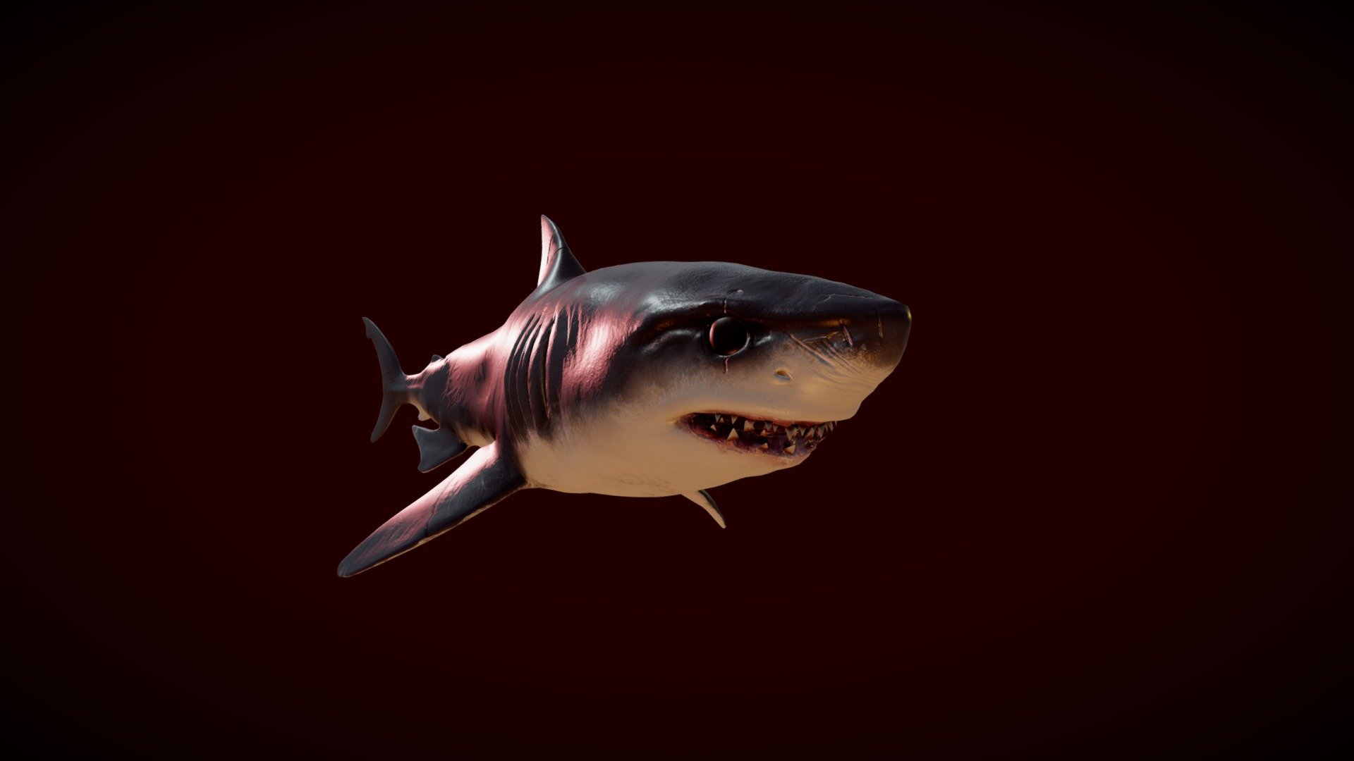 Great white shark - Buy Royalty Free 3D model by Zyleck [ba603cf ...