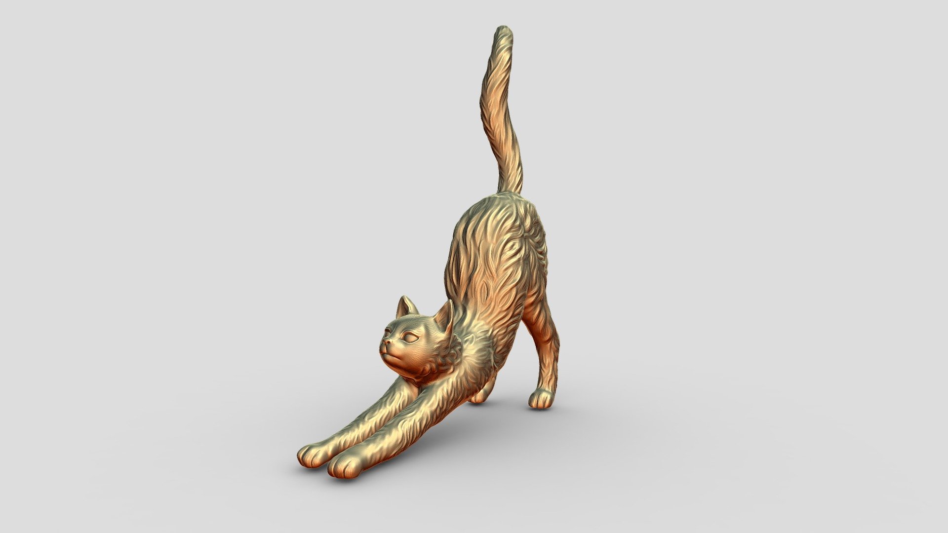 Cat Stretching - 3D model by Diana Liu (@Diana123456) [ba664fa] - Sketchfab