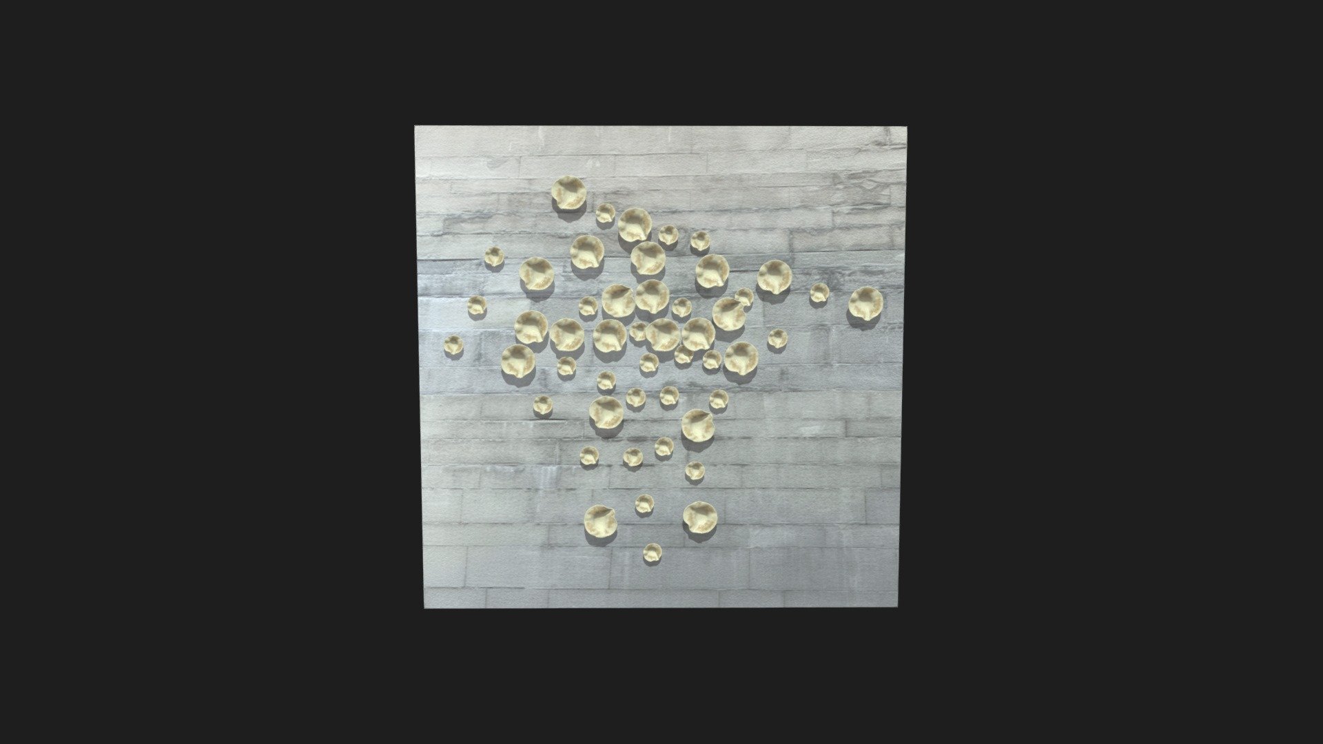 Sea polyp - 3D model by greyscale.creatives [ba69b6e] - Sketchfab