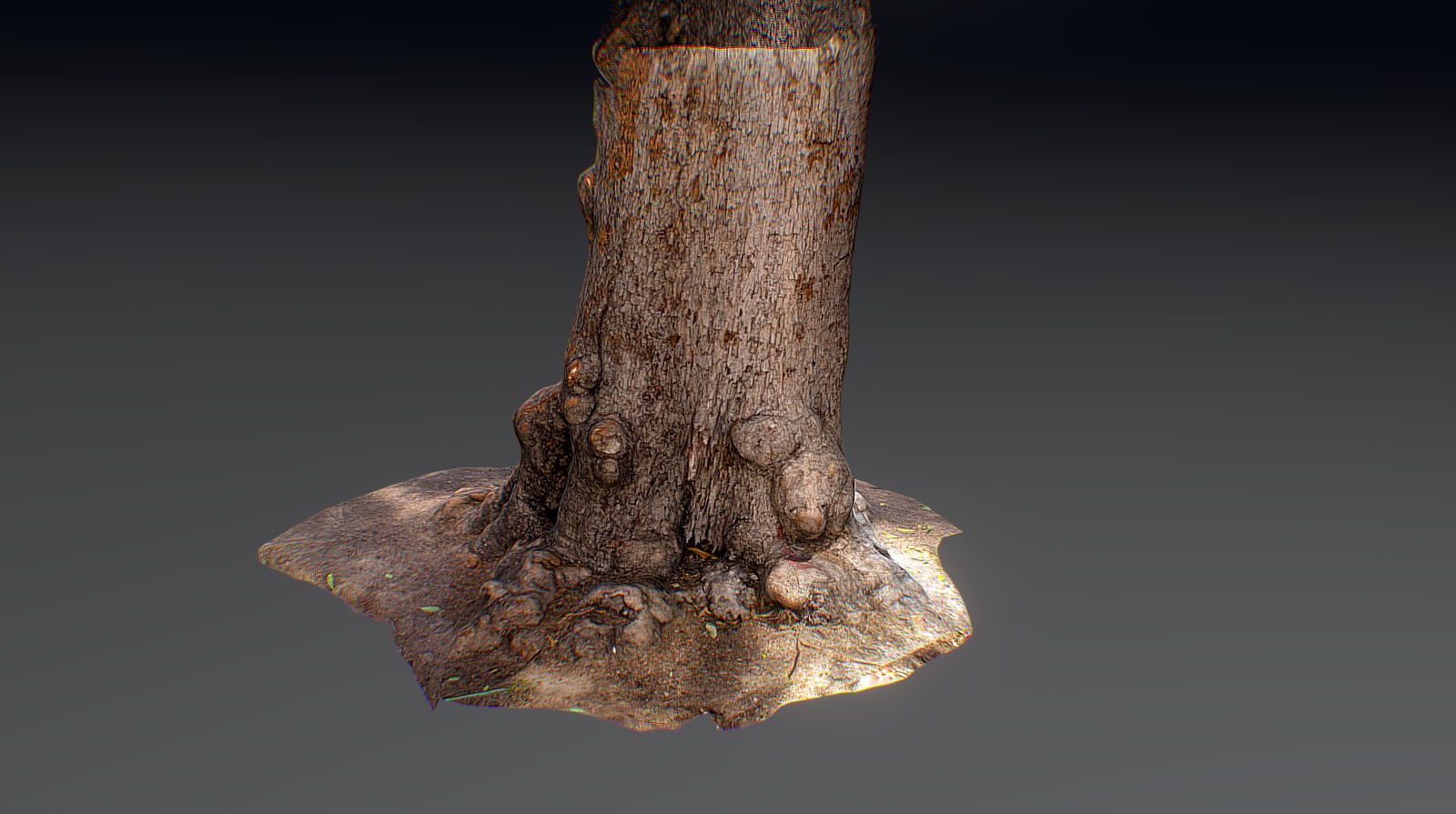 Tree photo reconstruction. - Download Free 3D model by GSXNet (@gsxn ...