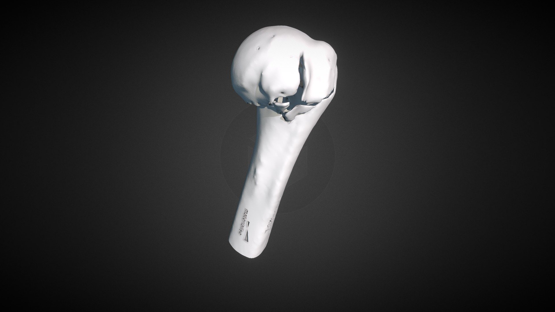 DKOU18 | Prox. Humerus fracture | S-181528-L - 3D model by World ...