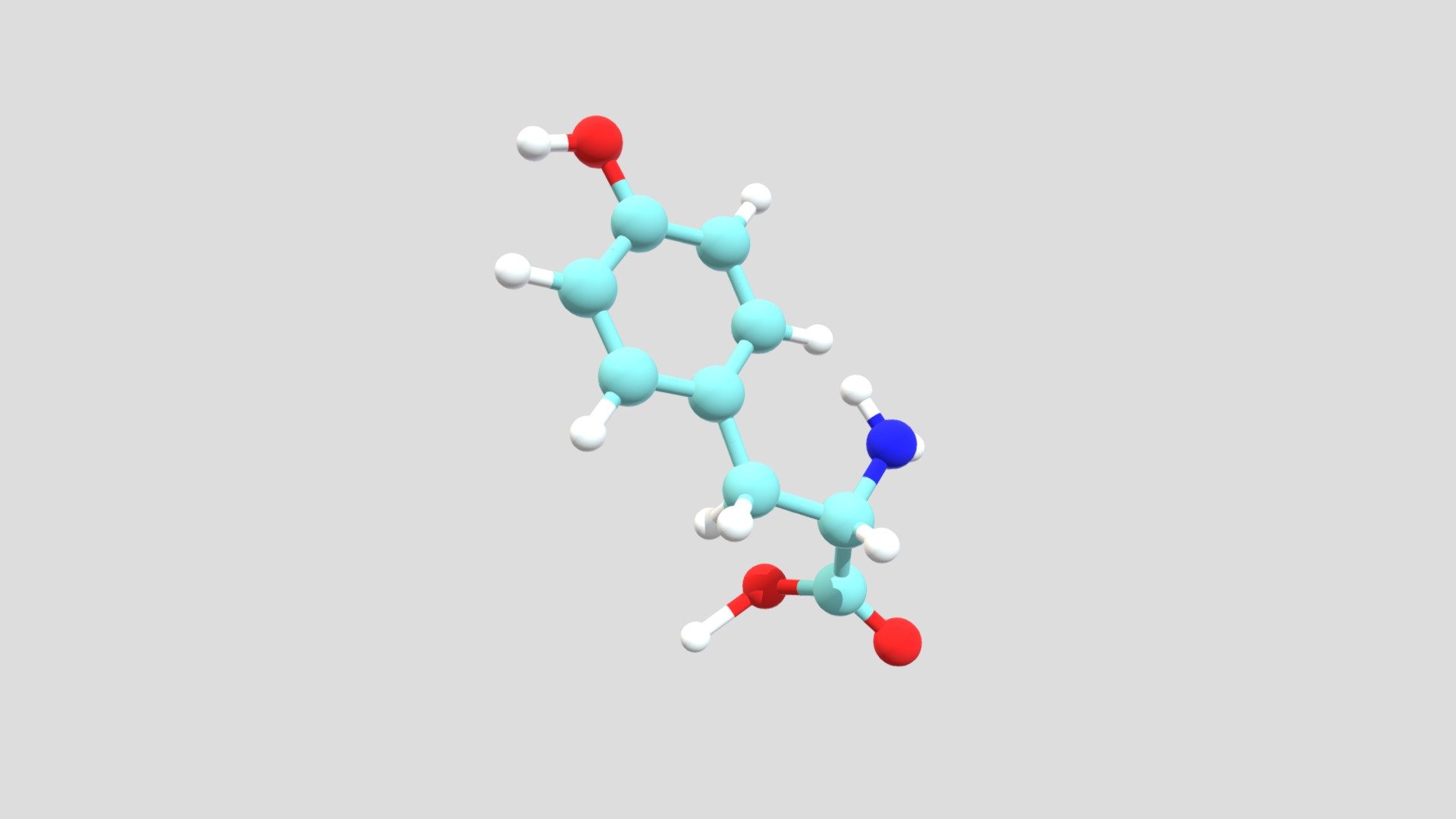 tyrosine - Download Free 3D model by gvsuchem (@gvsu-chem) [ba74013 ...