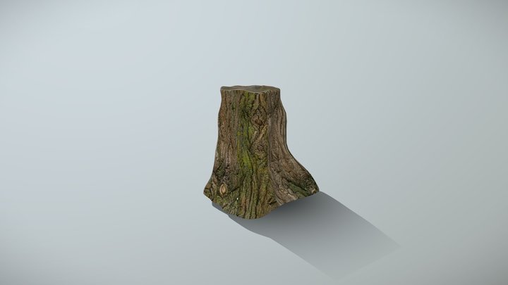 Stump 3D models - Sketchfab