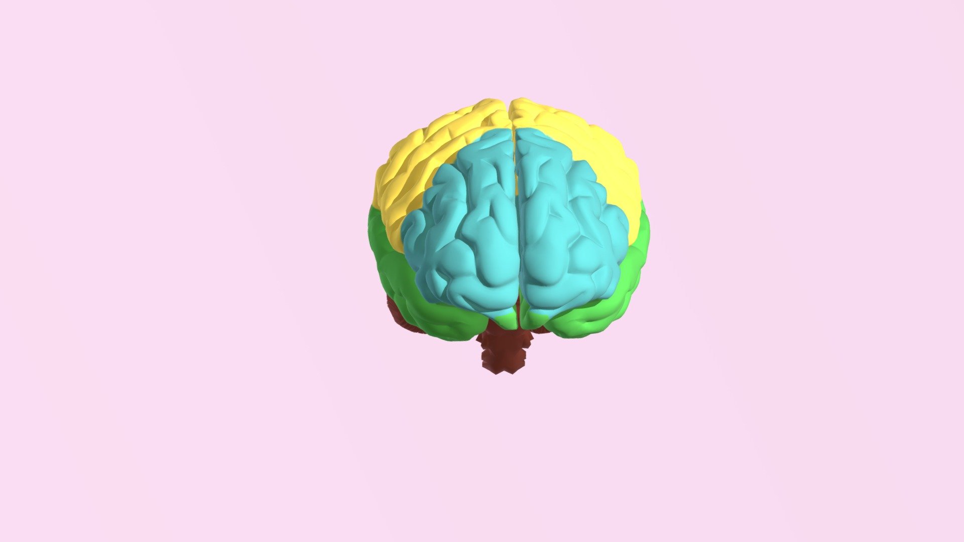 How The Mind Works Project - 3D model by amenon (@amenon4) [ba7e564 ...