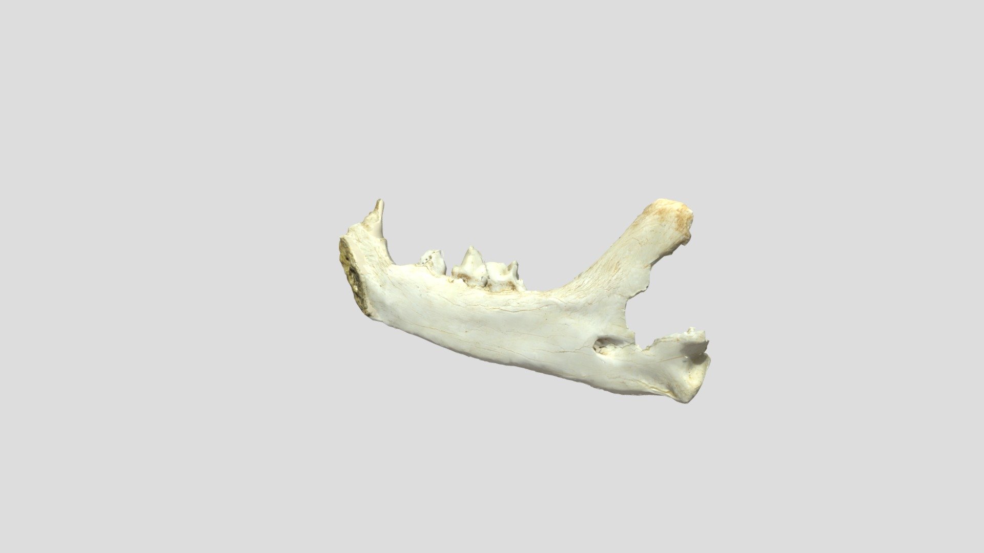 Texture Test 2 - 3D model by Micah Olson (@micaholson) [ba87ca5 ...
