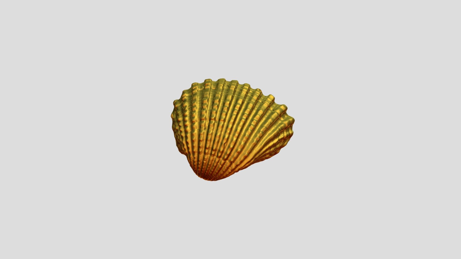seashell - 3D model by Thunk3D 3D Scanner (@Lily.Qin1) [ba8d73c ...