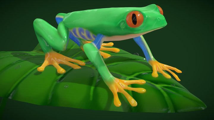 Rainforest 3D models - Sketchfab