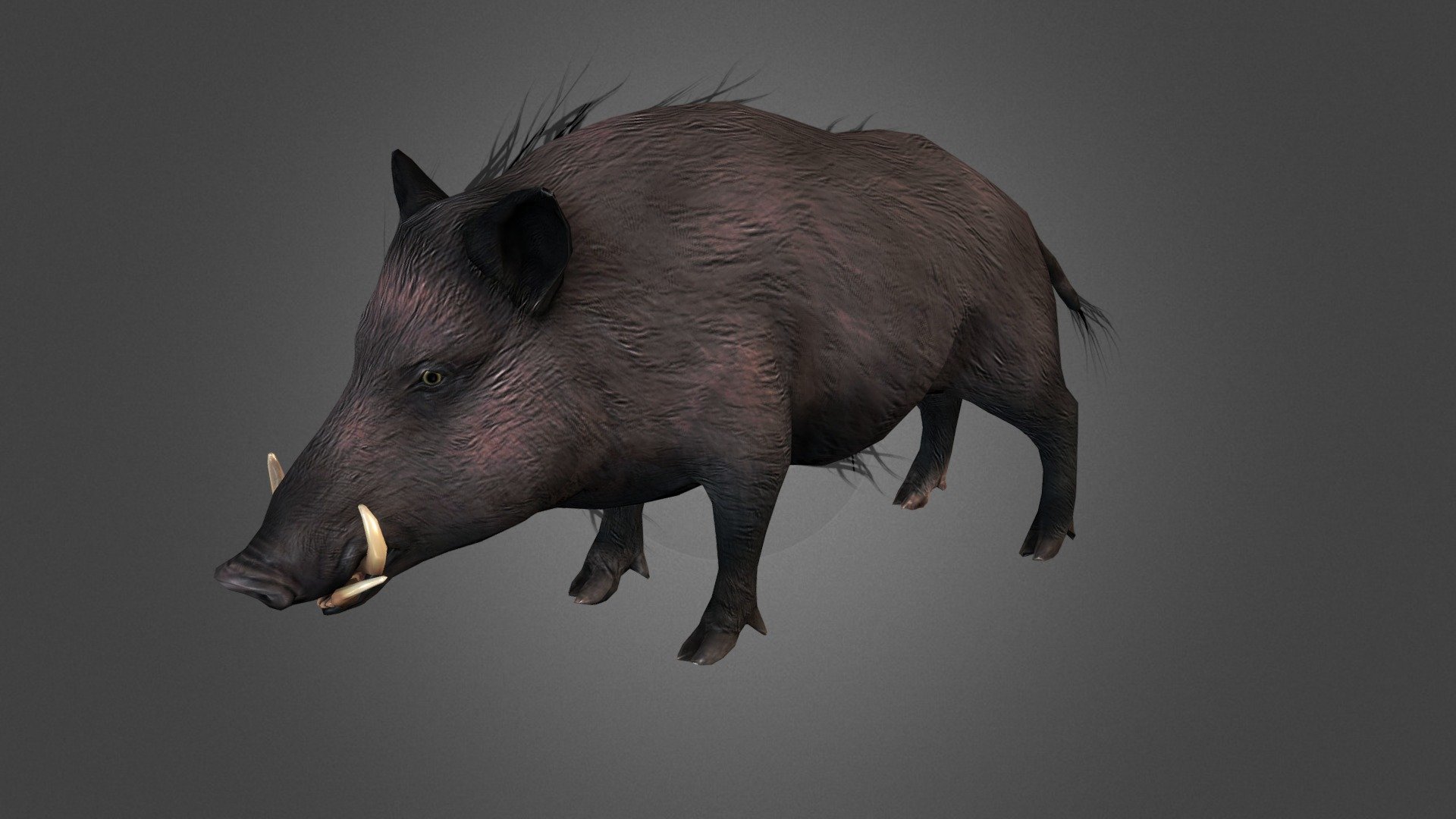 Boar - 3D model by Portalarium [ba93509] - Sketchfab