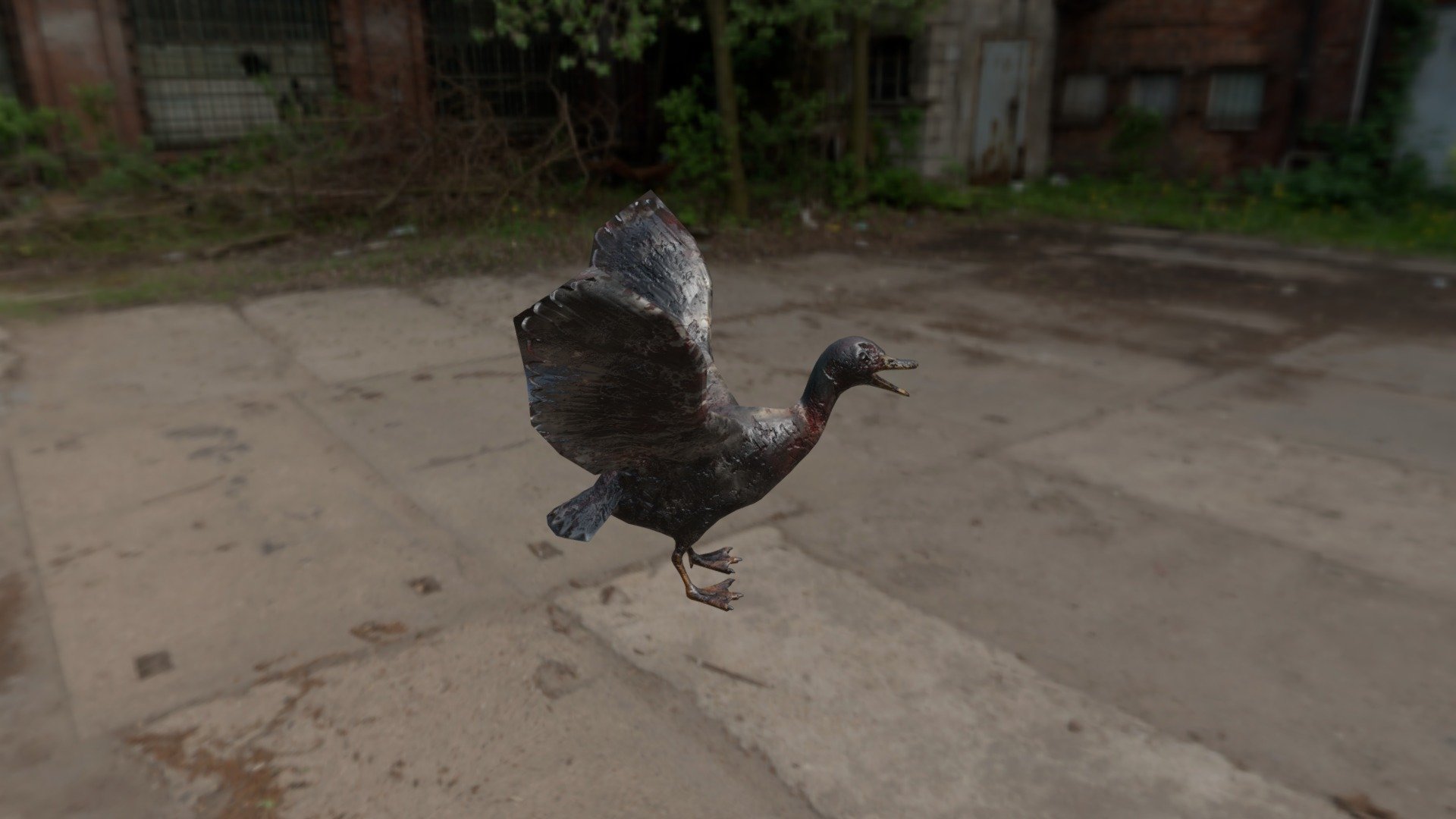 Duck dead burned - 3D model by wetpwnage [ba99e78] - Sketchfab