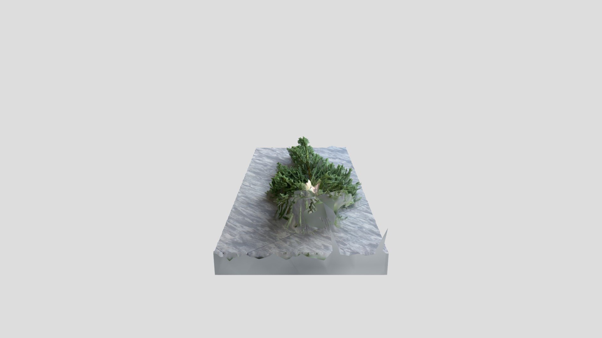 Scan 2023-05-12T07:28:45.005Z - Download Free 3D model by sangyoun20 ...