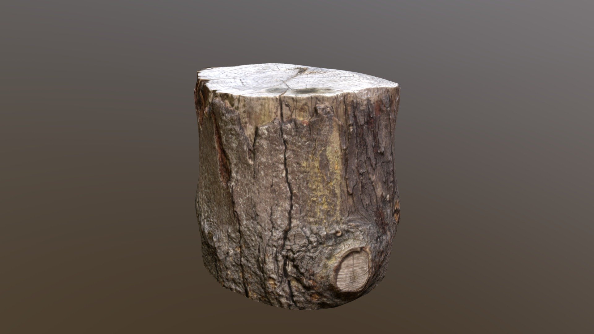 Wooden stump photogrammetry low poly - Download Free 3D model by ...